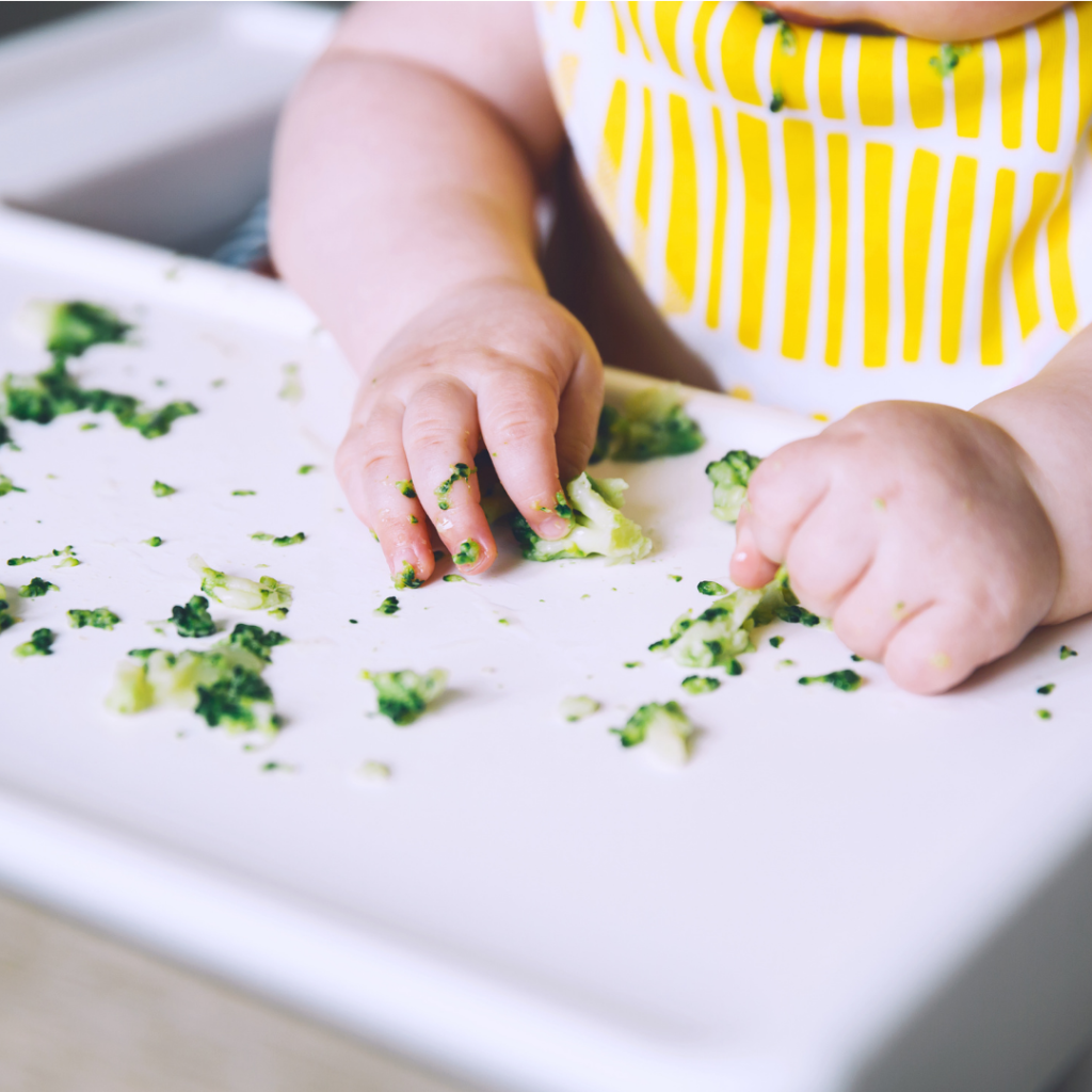 Picky Eating 101: Why Releasing Control Can Lead to Huge Progress ...